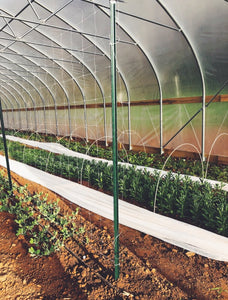 Row Cover Supports - 1/4" x 8' Bundle of 50 — Seven Springs Farm Supply