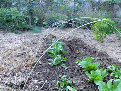 Row Cover Supports - 1/4" x 8' Bundle of 50 — Seven Springs Farm Supply